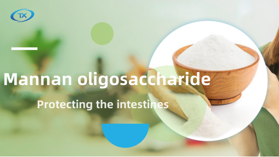 What is Mannan Oligosaccharide?-Nanjing Tessin