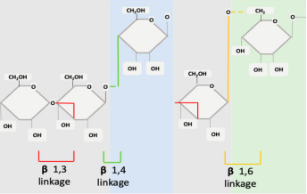 Beta glucan from different sources - Tessin